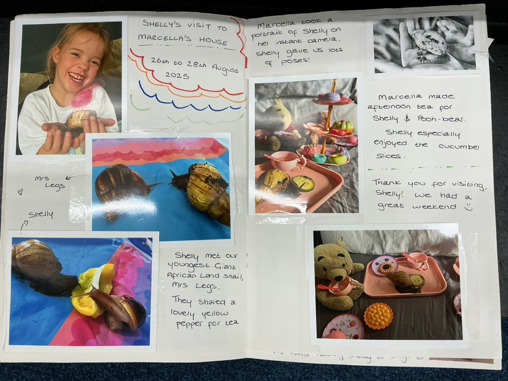 Shelly the Giant African Snail - Sharow CE Primary and Nursery School